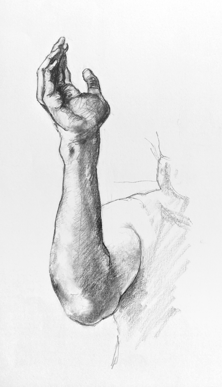 Drawing the Human Form Syn Studio